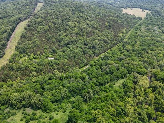 Big Twin Creek Rd, Worthville, KY 41098