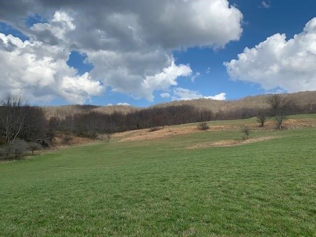 Big Valley Rd, Monterey, VA 24465