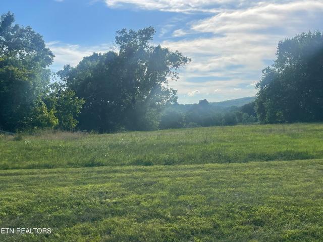 Big Valley Rd, Sharps Chapel, TN 37866