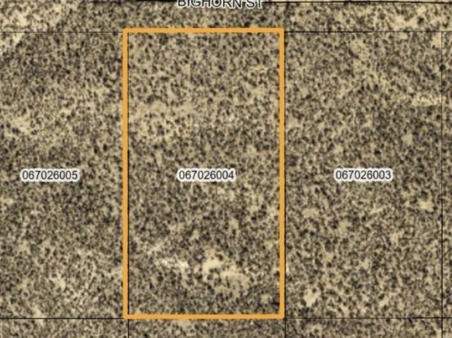 Bighorn St, Elko, NV 89801