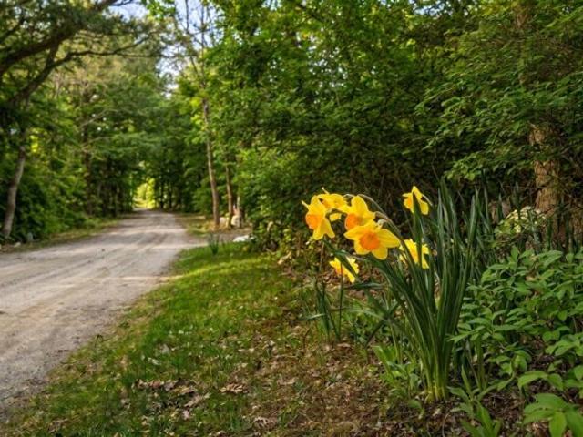 Bijahs Way, Chilmark, Plot For Sale