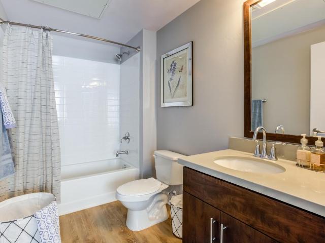 Biltmore at Camelback Studio Apartment for Rent at 2625 E Camelback Rd, Phoenix, AZ 85016