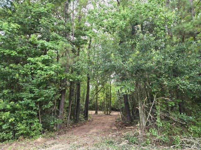 Bilbo Lot Circle, Deridder, LA 70634