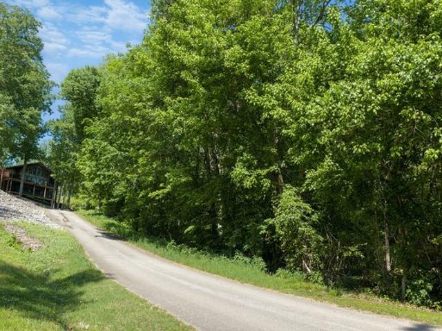 Bill Perry Dr, Sugar Tree, TN 38380