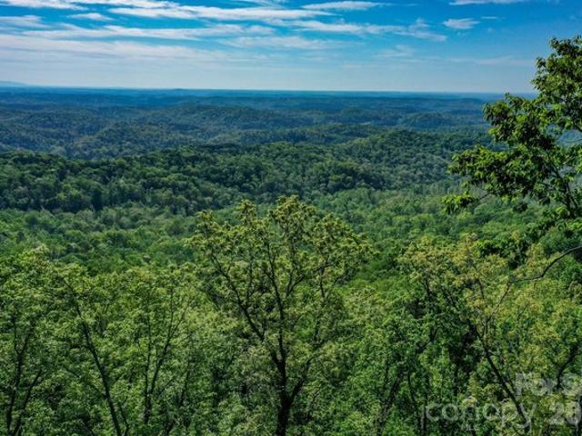 Bills Mountain Trl Unit 402, Lake Lure, NC 28746