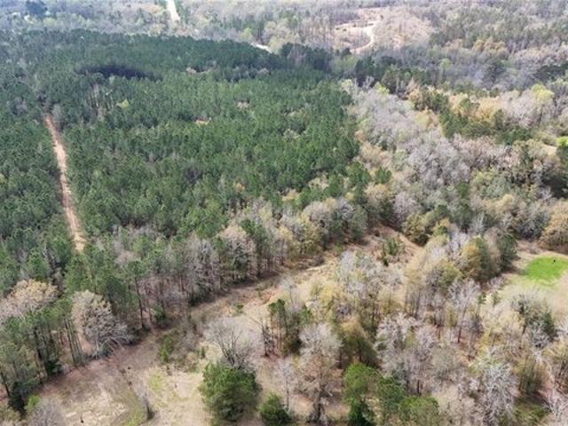 Billy Bigham Rd, Northport, AL 35475