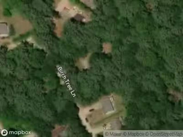 Birch Tree Ln