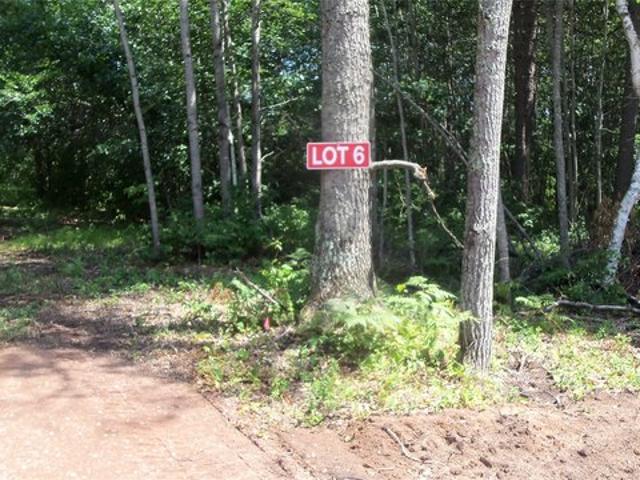 Birch Tree T Trl Lot 6, Spooner, WI 54801