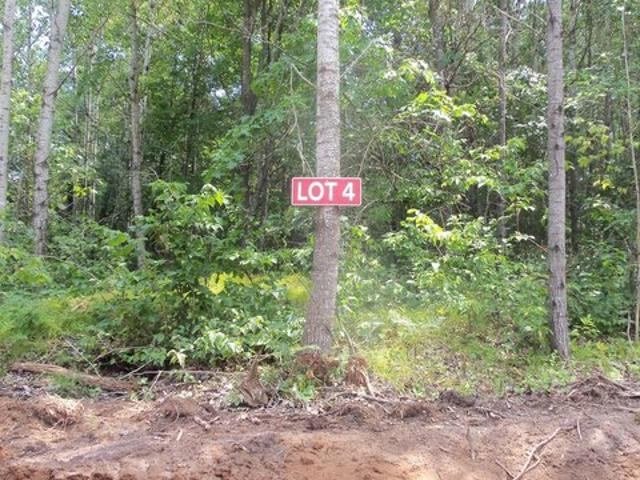 Birch Tree Trl Lot 4, Spooner, WI 54801