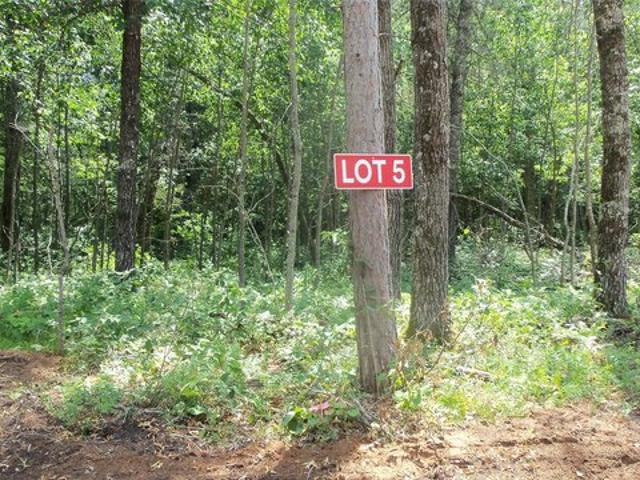Birch Tree Trl Lot 5, Spooner, WI 54801