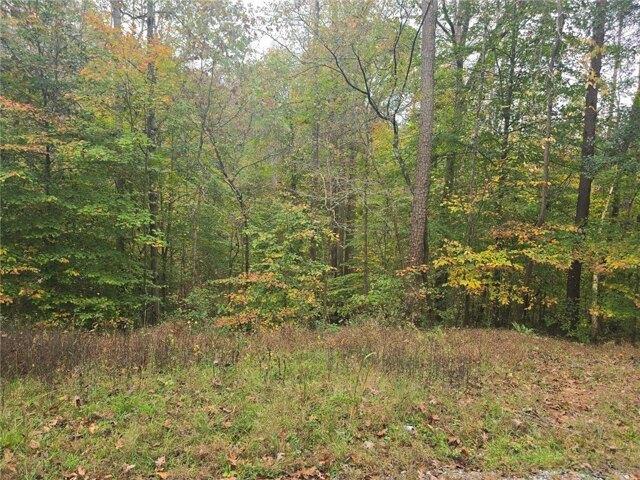 Birch Ct Lot,westminster, Plot For Sale
