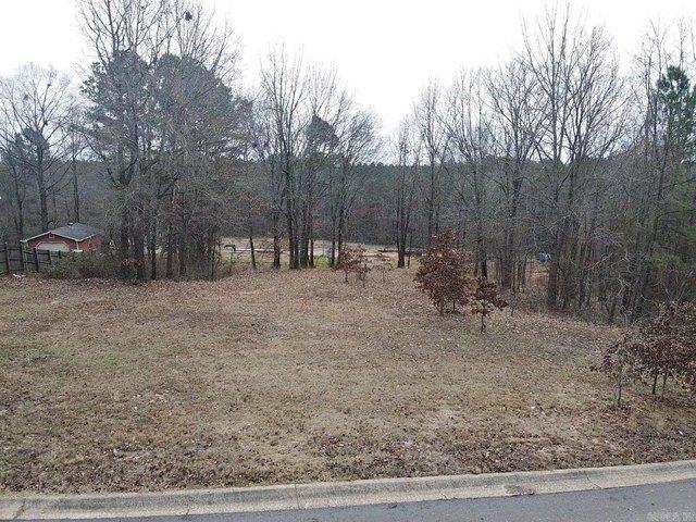 Birch Cv Lot 25, Arkadelphia, AR 71923