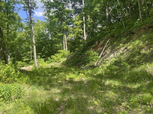 Birch Hollow Rd Lot 12, Stanton, KY 40380