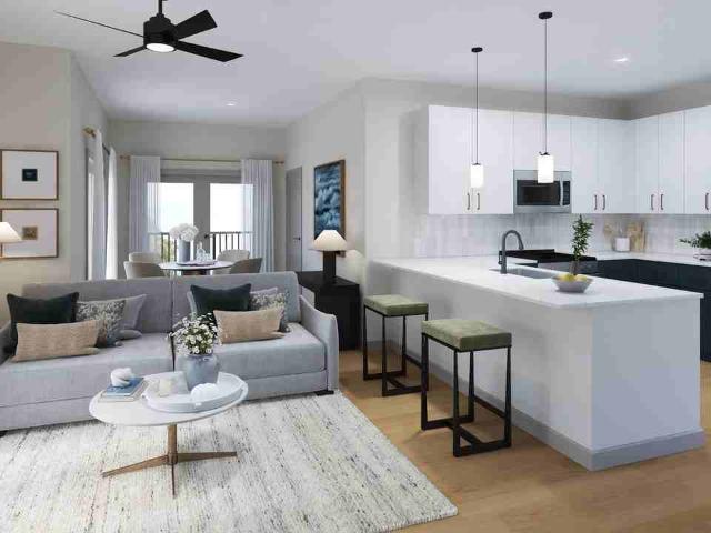 Birch House 1 Bedroom Apartment for Rent at 1165 Ballpark Ln, Lawrenceville, GA 30043