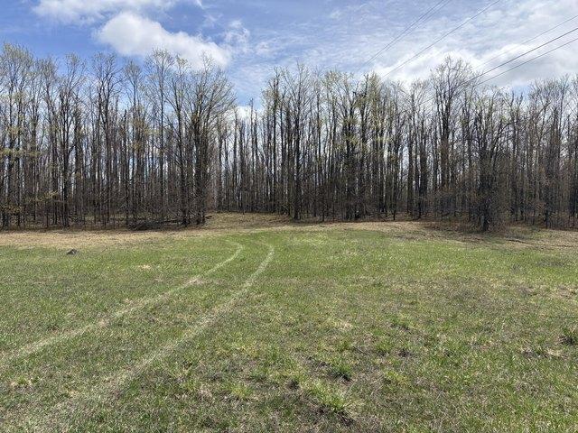 Birch Run Dr Parcel 5, Gaylord, MI 49735