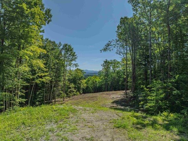 Birchcroft Dr, Littleton, Plot For Sale