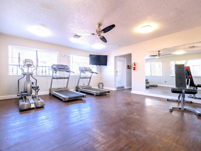 Birchwood Apartments 1 Bedroom Apartment for Rent at 6402 Albany Ave, Lubbock, TX 79424 Remington Park