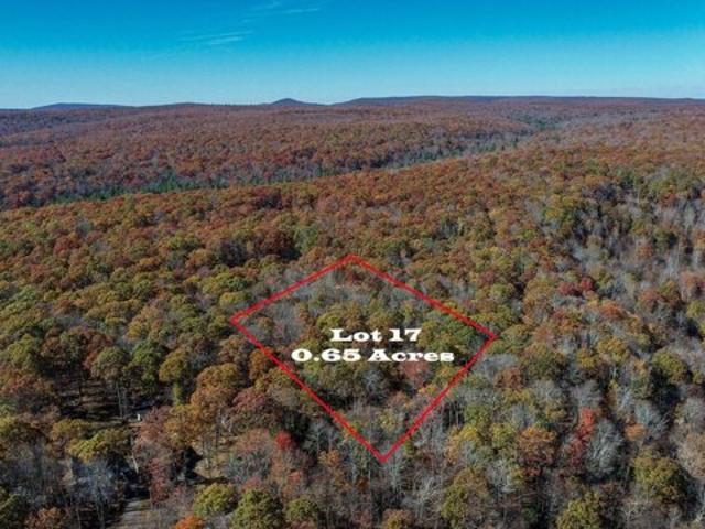 Birchwood Dr Lot,oakland, Plot For Sale