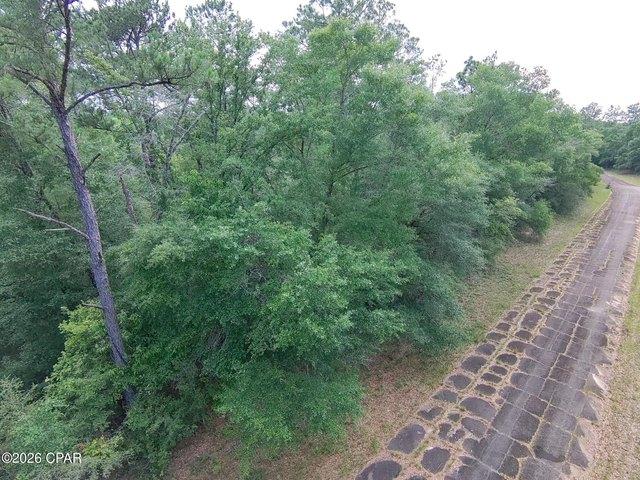 Birchwood Dr Lot 39, Chipley, FL 32428