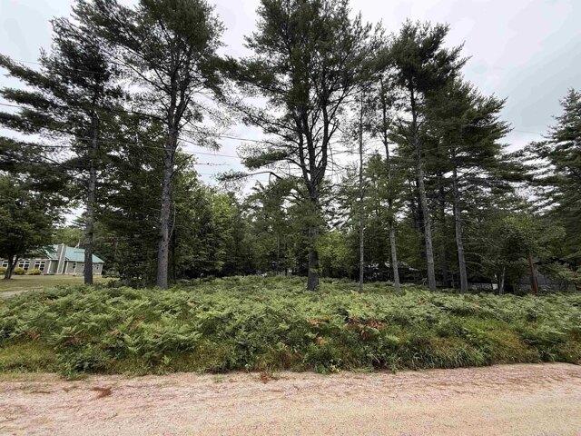 Birchwood Farm Rd Lot,freedom, Plot For Sale