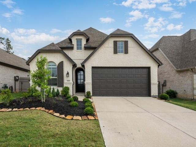 Bird Of Paradise Dr, Conroe, Home For Sale