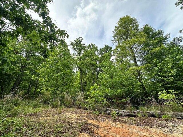 Bird Creek Estates Rd, Black Mountain, Plot For Sale