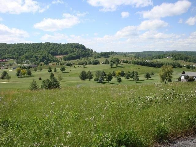 Birdie Dr, Peterstown, WV 24963