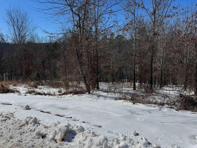 Birdie Ln Lot 13, Mountain View, AR 72560