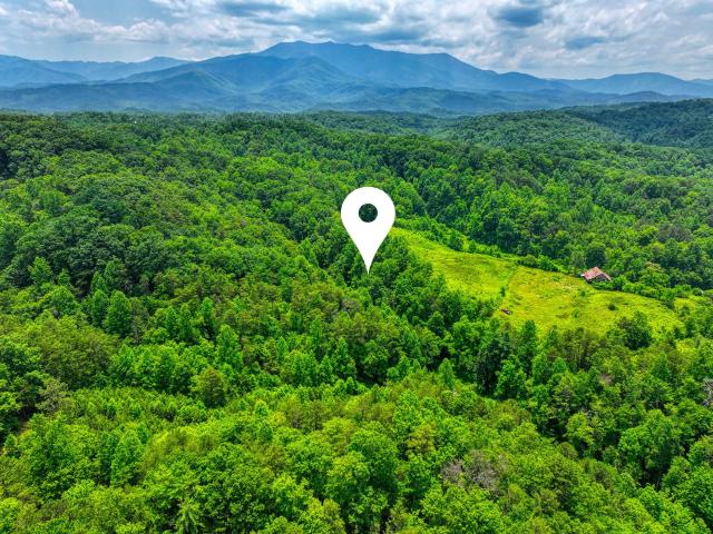 Birds Creek Road / 4255 Lower Powdermill Road, Gatlinburg, US, TN