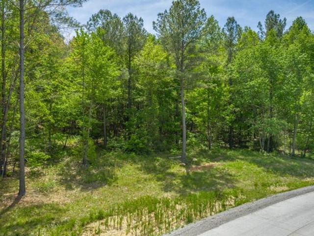 Birds Eye Way, Guild, TN 37340