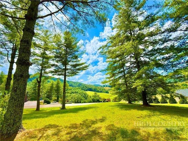 Birds Eye View Pl, Fleetwood, NC 28640