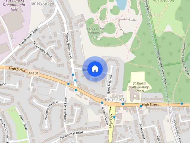 Birds Meadow, BRIERLEY HILL