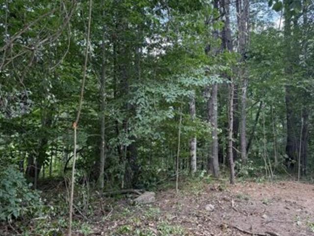 Birdsong Ln, Windham, Plot For Sale