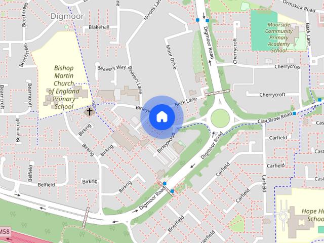 Birleywood, Skelmersdale, WN8
