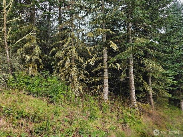 Birley Rd, Mossyrock, WA 98564