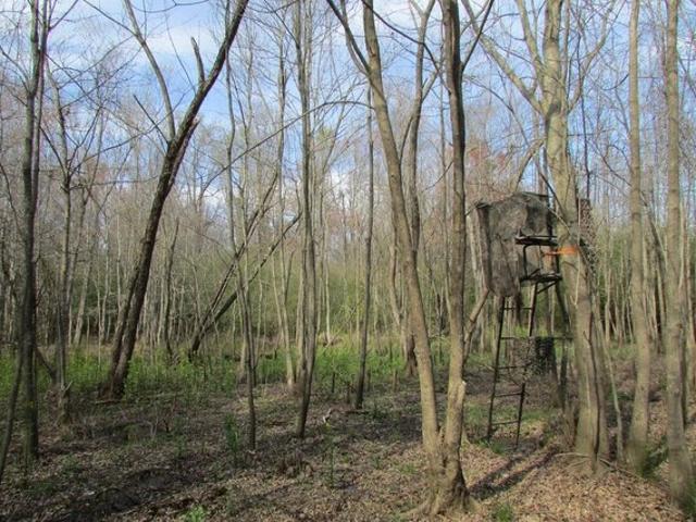 Farm Road Ln, Bishopville, SC 29010