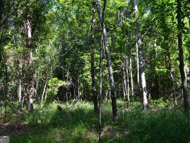 BISHOP Canoochee Road