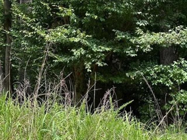 Bishop Dr Lot,montross, Plot For Sale