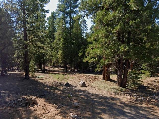 Bison Rd, Alturas, CA 96101