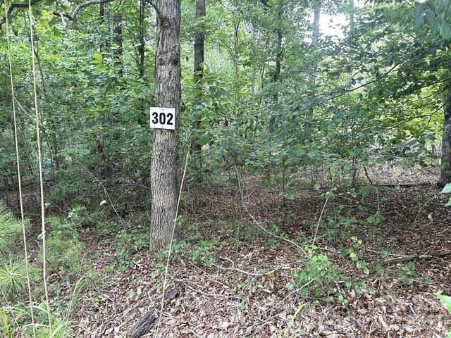 Bitteroot Cir Unit 302, Rutherfordton, NC 28139