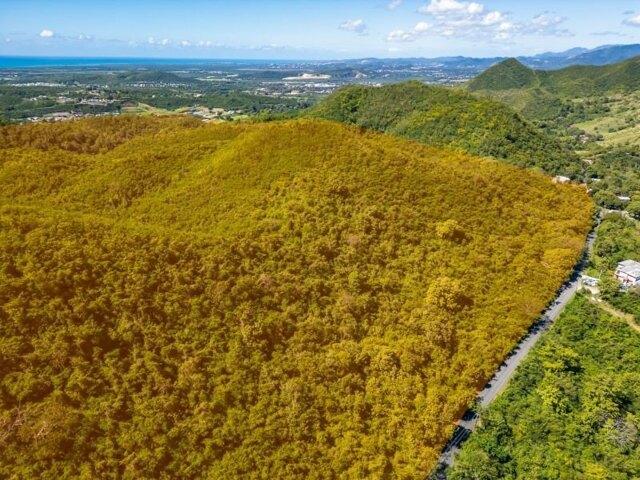 Bo Tijeras Y Rio Canas Abajo Carr Km #,juana Diaz, Plot For Sale
