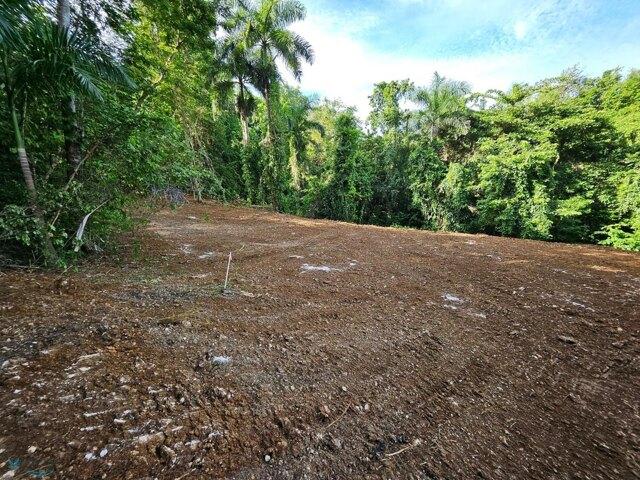 Bo Victoria Solar M Lot B, Aguadilla, Plot For Sale