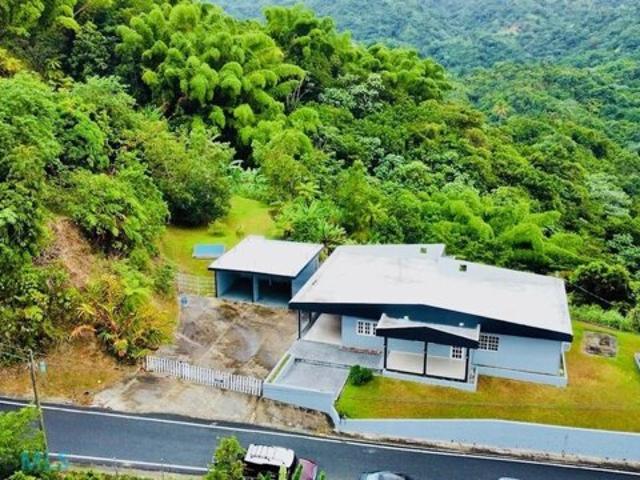 Bo Vivi Arriba, Utuado, Home For Sale
