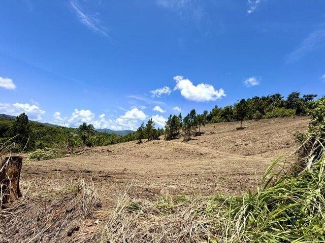 Bo Arenas Sec Vista Alegre Carr Pr, Cidra, Plot For Sale