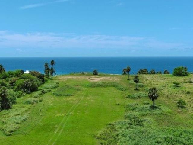 Bo Bejucos Carr #,isabela, Plot For Sale