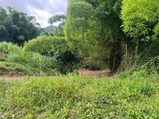 Bo Caimito Solar #,juncos, Plot For Sale