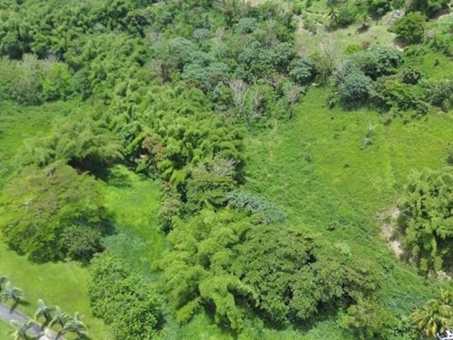 Bo Calzada Carr Km Hc #,maunabo, Plot For Sale