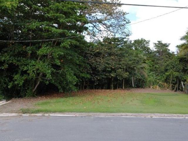 Bo Carraizo Lote Carr Km Hm Lot,trujillo Alto, Plot For Sale