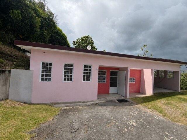 Bo Ceiba Norte Sector Santana Casa A Carr #,juncos, Home For Sale