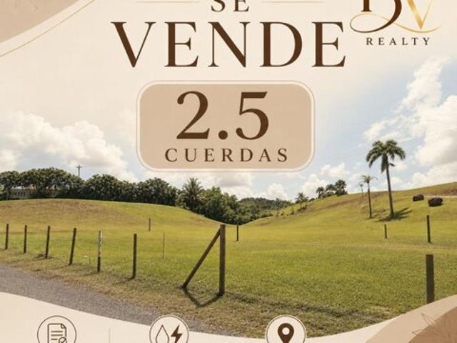 Bo Cerro Gordo, San Lorenzo, Farm House For